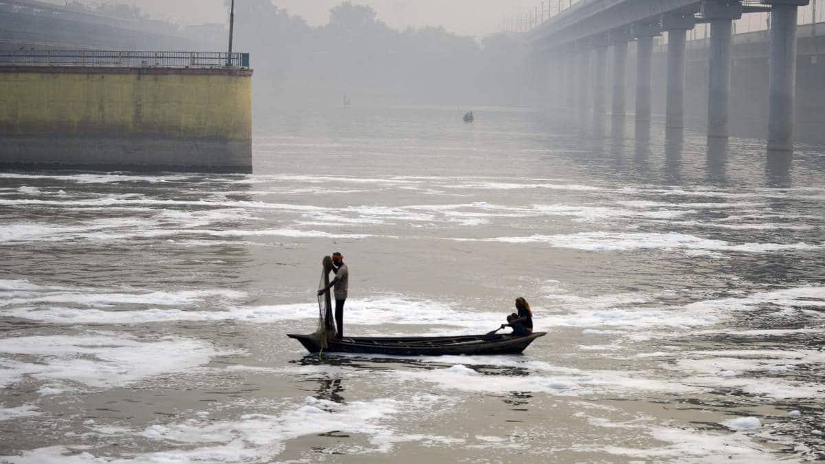 Eco-friendly Yamuna cruise to launch in Delhi soon, Rs 2-crore project ...
