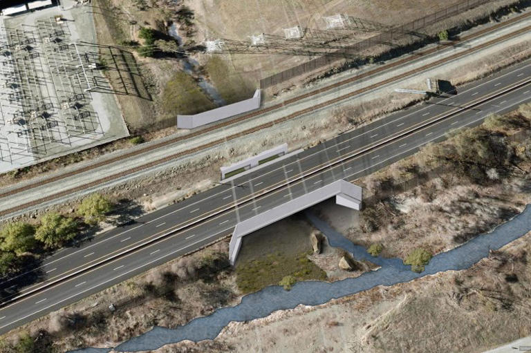 VTA board approves wildlife crossings under Highway 101, Monterey Road ...