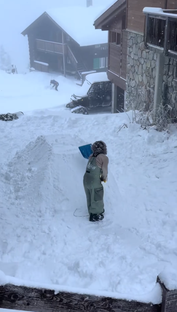 When freedom leads you to Switzerland