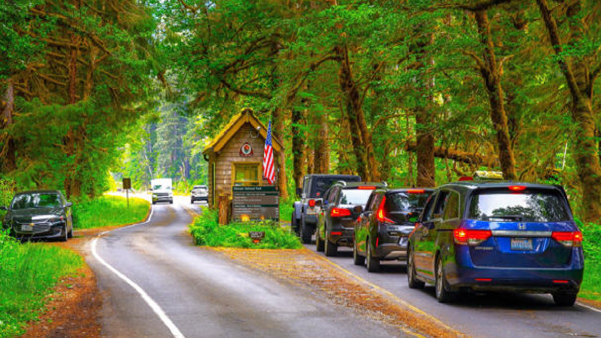 New gate question is making US national park visitors turn around for ...