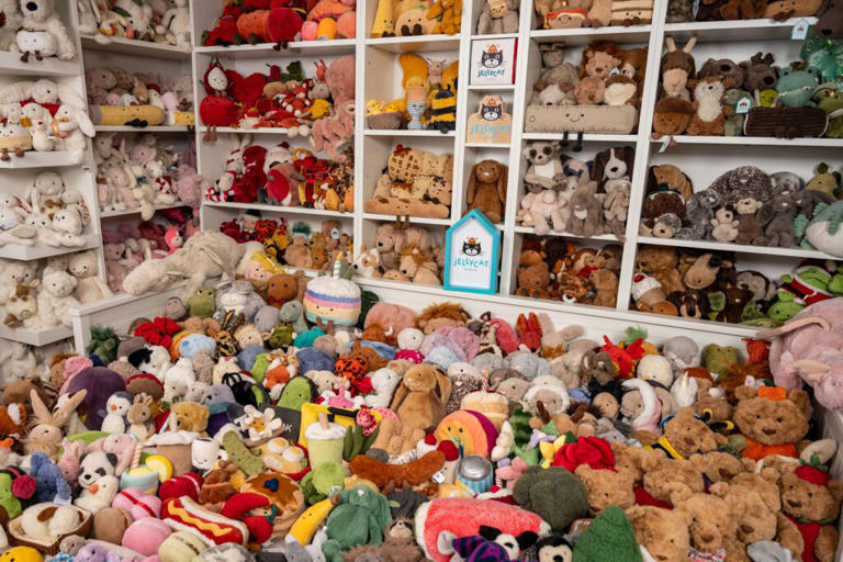 Teen with 877 Jellycats awarded Guinness World Record for largest ...