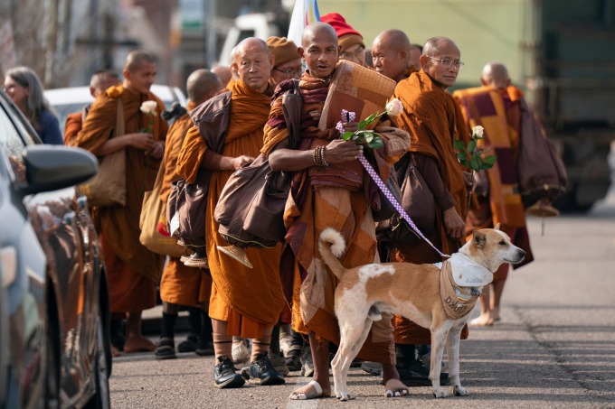 Buddhist monks and their dog, led by Vietnamese venerable, captivate ...