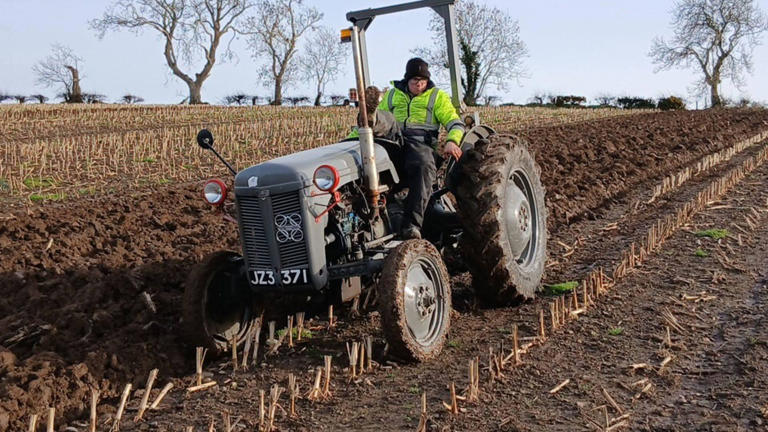 Good turnout for Ballydown Ploughing Match