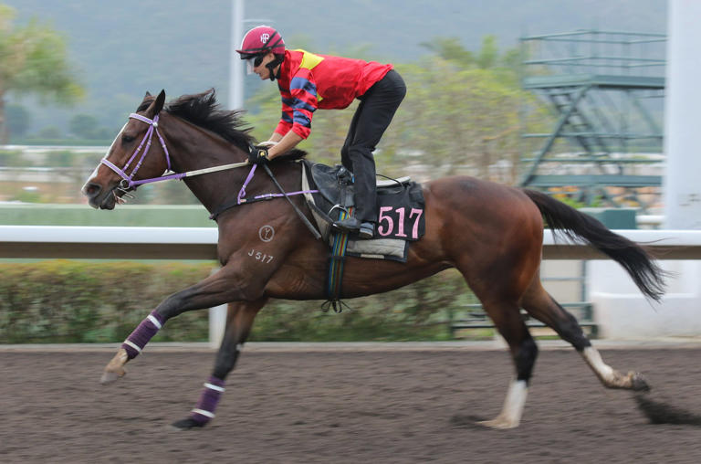 Hong Lok Golf set a distance test as Chris So targets new options with ...