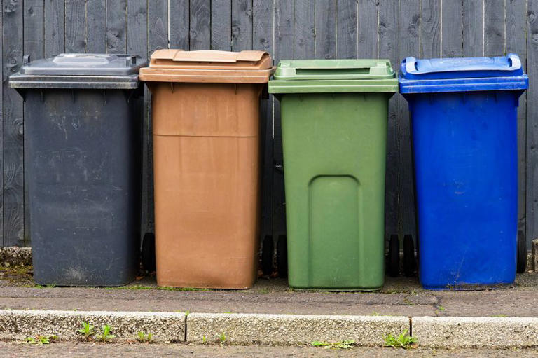 Binman warns rubbish won't be collected if 1 item is seen in recycling ...
