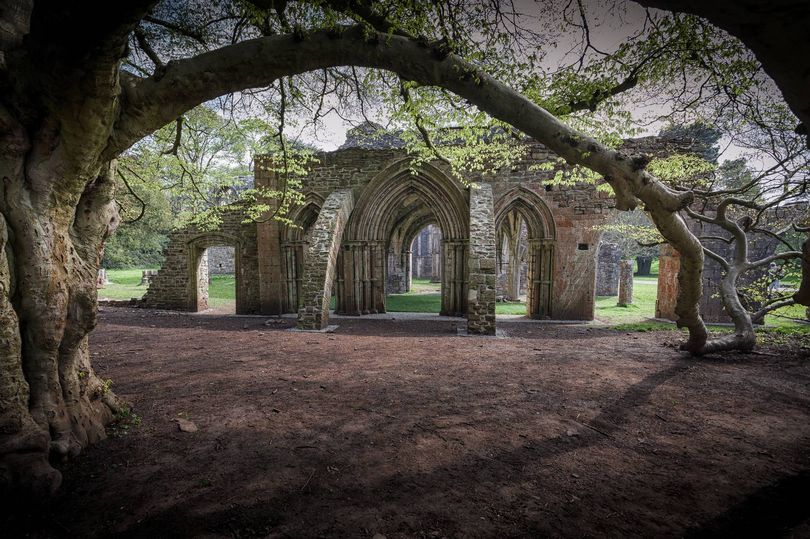 Huge Roman villa found under popular park