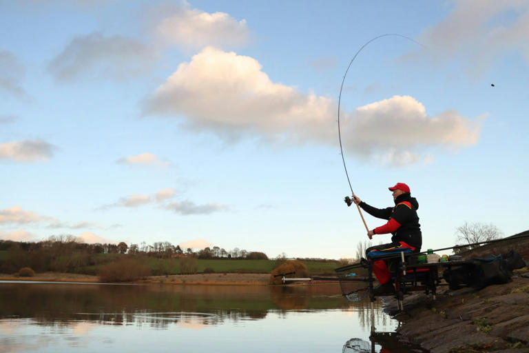 Drennan Acolyte Medium Feeder Rod review