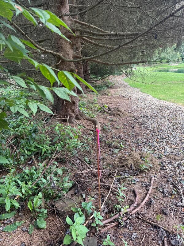 Homeowner distraught after waking up to neighbor's destructive act ...