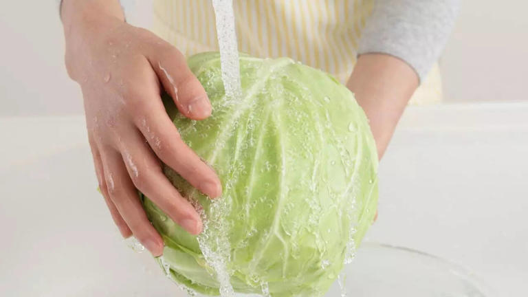 How to clean cabbage properly: The simple hacks that remove worms and ...