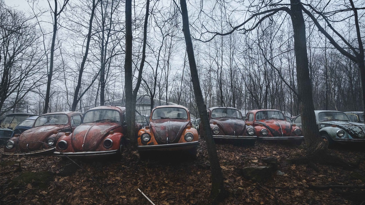 That field is full of history - the abandoned VW Beetles