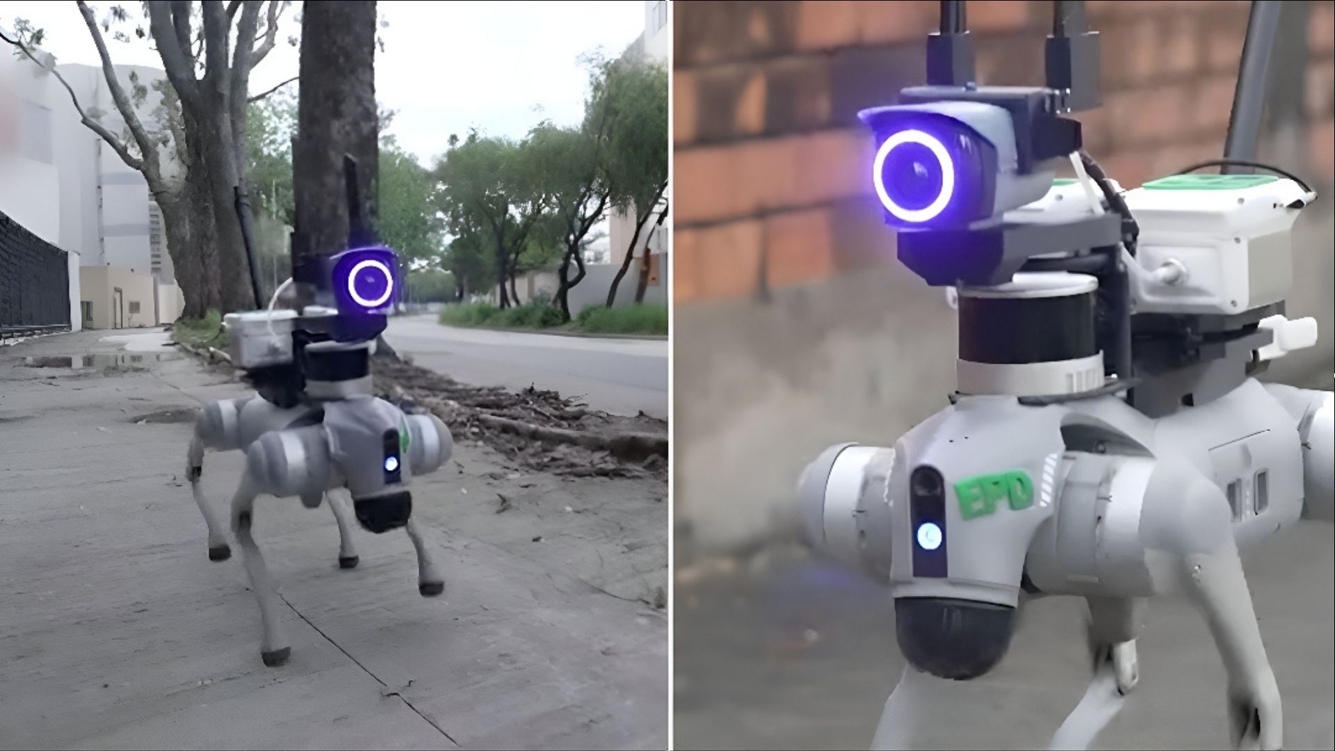 Laser-loaded robot dogs, AI bird tracker reshaping environmental ...