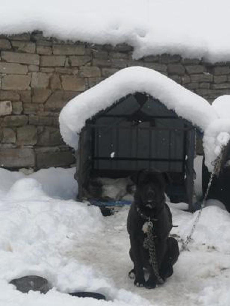 Beyaz esarette son durum! Kar kalınlığı 35 santimetreye ulaştı