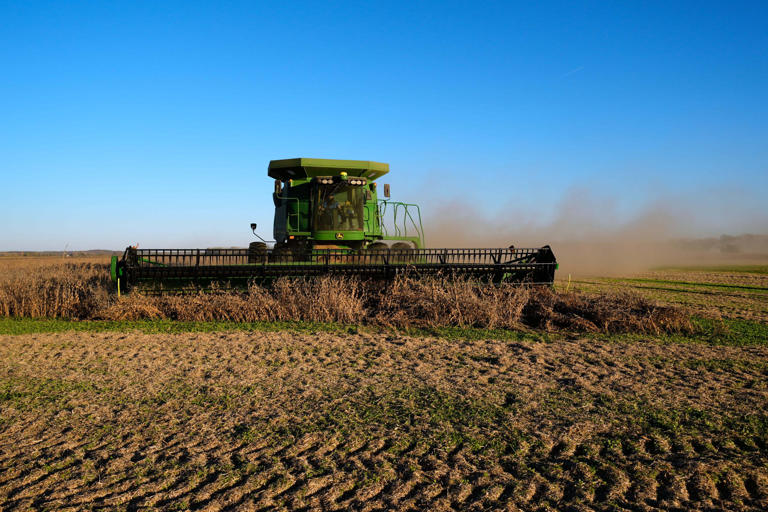 Soybean wars: When a commodity becomes a political weapon