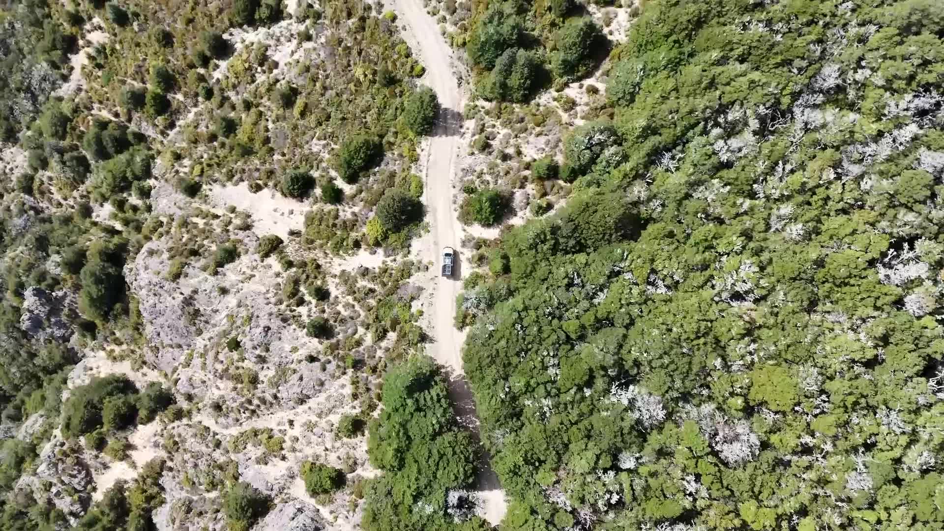 What we found in the rain: A fire, a faithful dog, and mountain peace