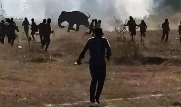 Killer elephant rampage leaves 22 people dead as authorities hunt for ...