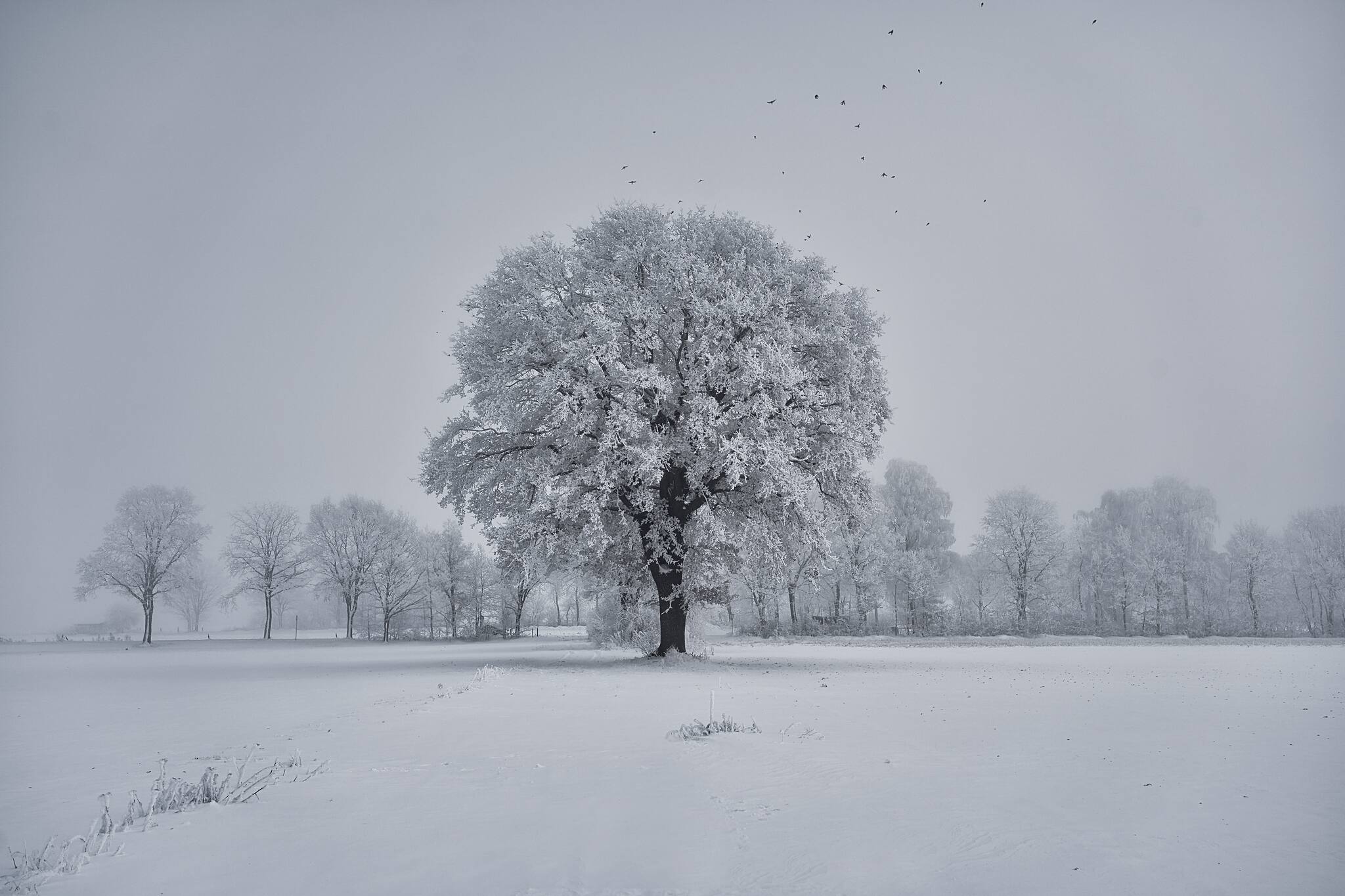 Newsblog zum Winterwetter im Celler Land: Schule findet statt am ...
