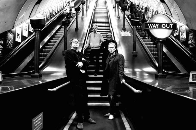 Singalong anthems aplenty at Yorkshire Wildlife Park shows