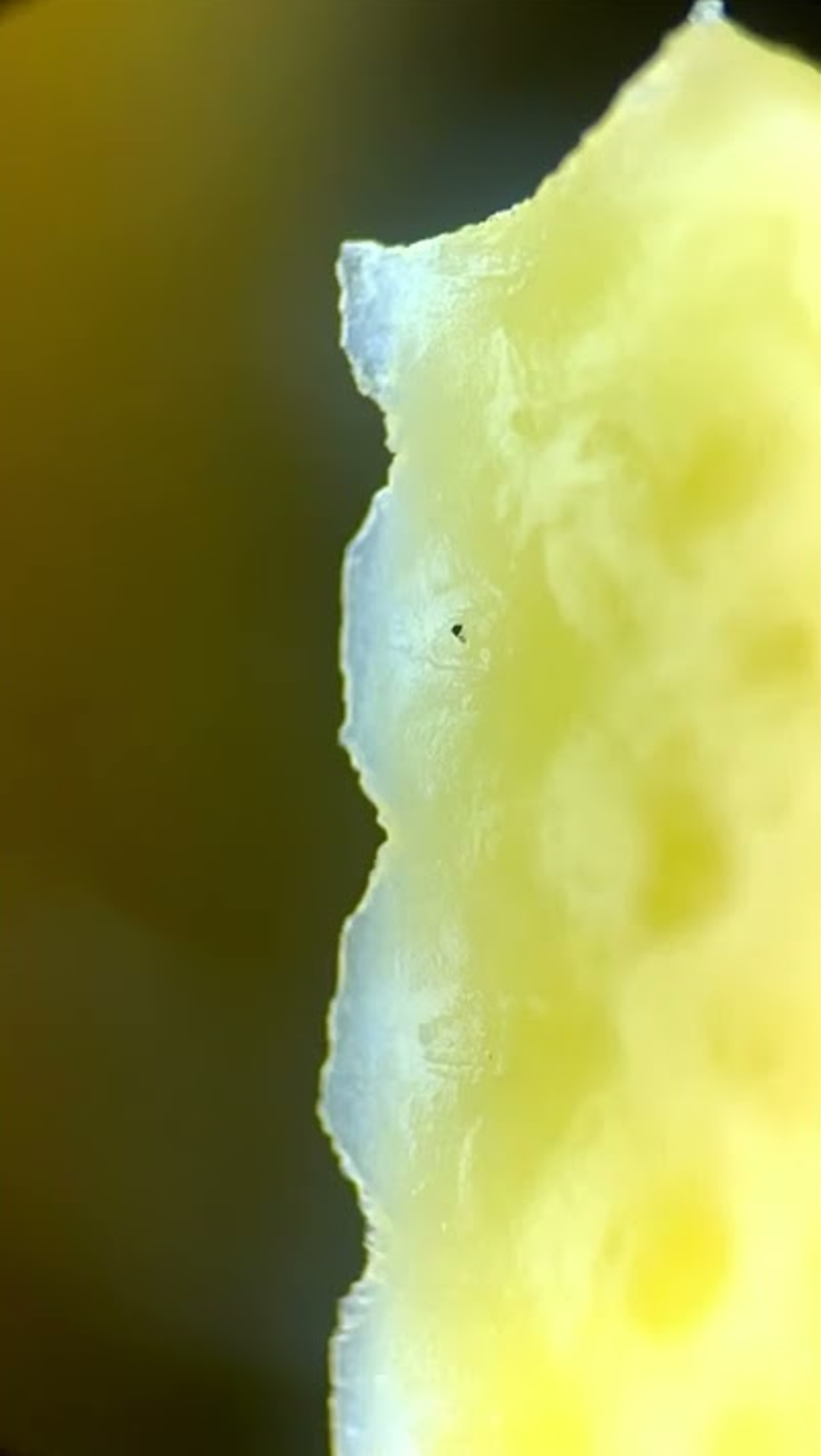 Guy looks at American cheese under microscope and finds something shocking