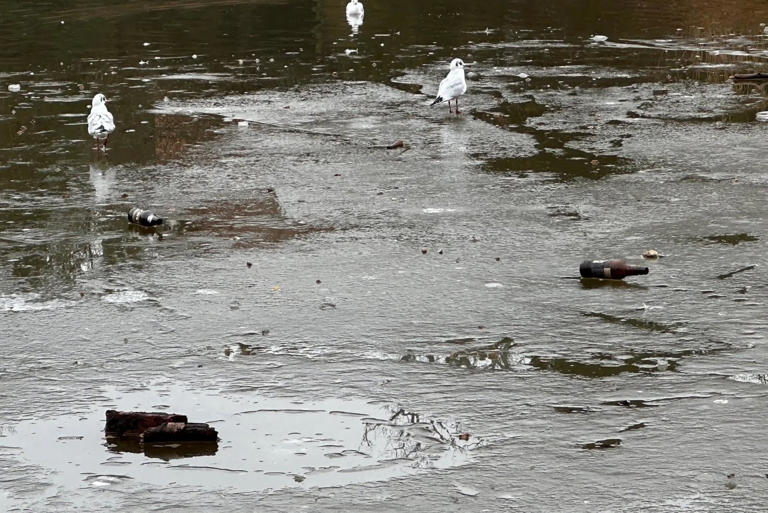 'No respect' - Broken glass and litter spark concern at Midhurst’s ...