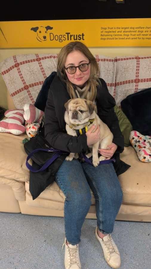 Gen Kitchen MP: As a nation of animal lovers we should all welcome this ...