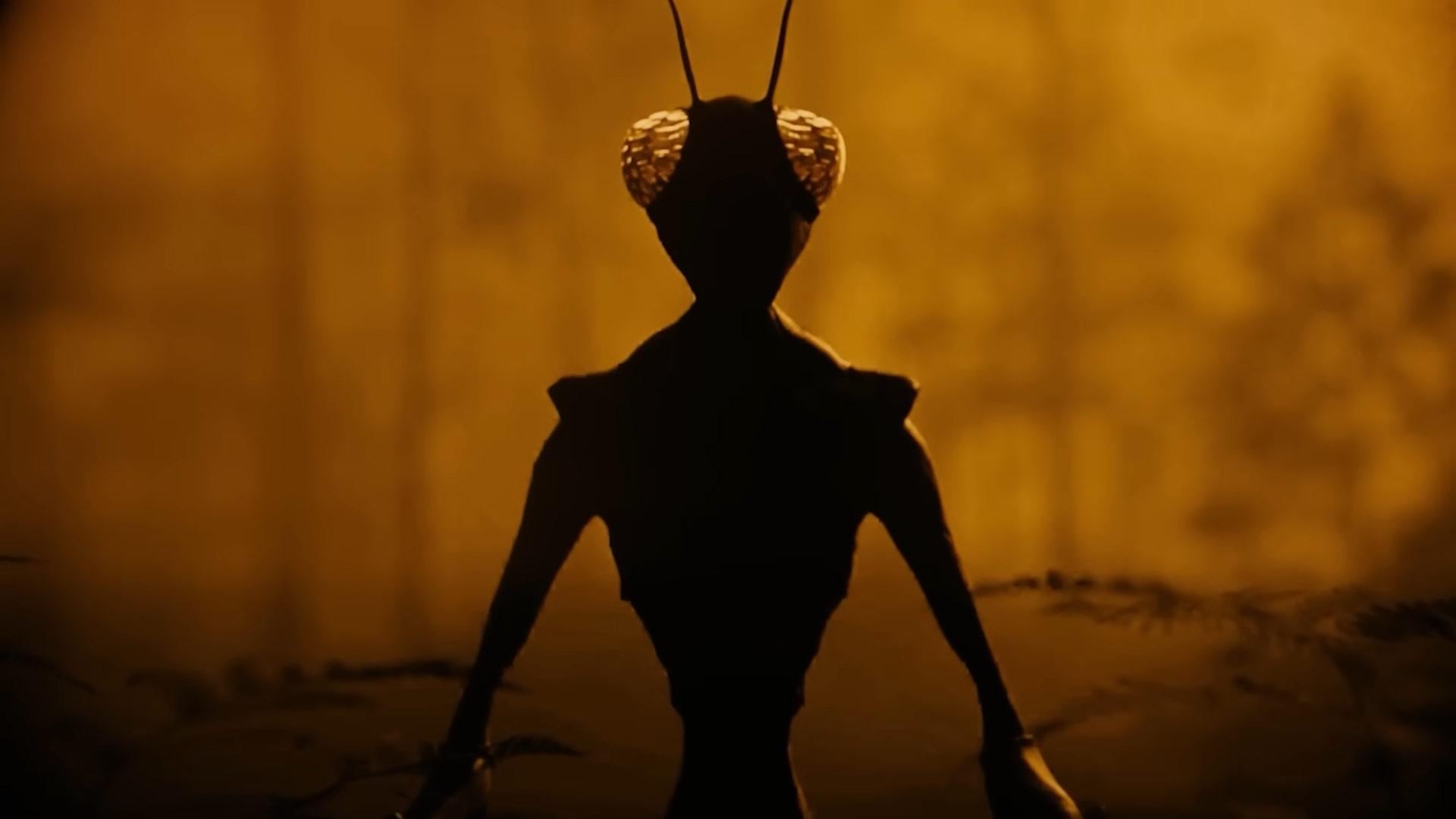 The insect was 7 feet tall - and then it vanished