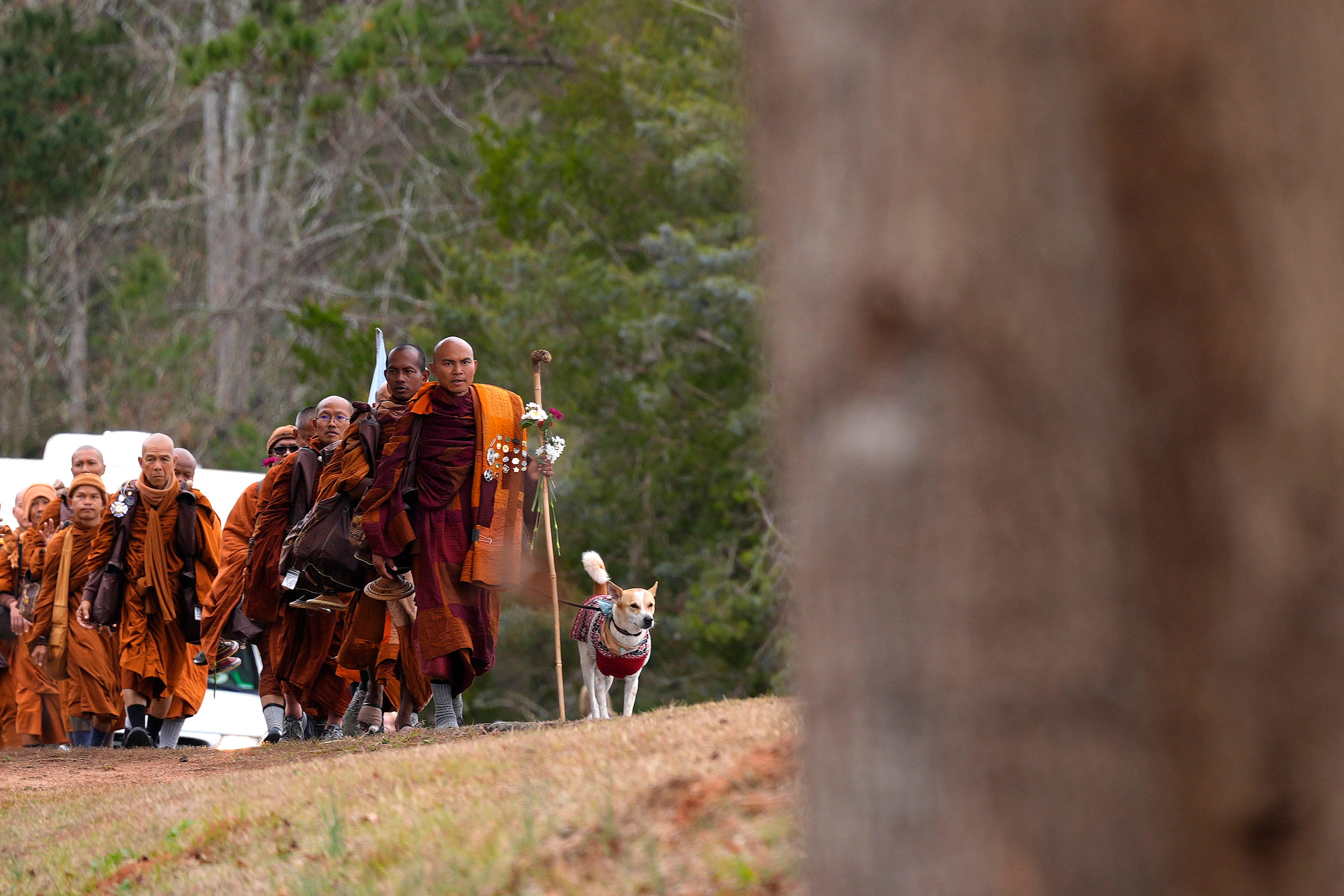 When will the Buddhist monks walk for peace arrive in North Carolina?
