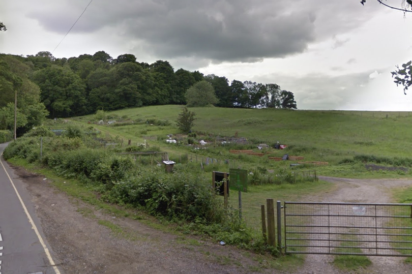 Surrey area residents sitting on allotment waiting lists for years due ...