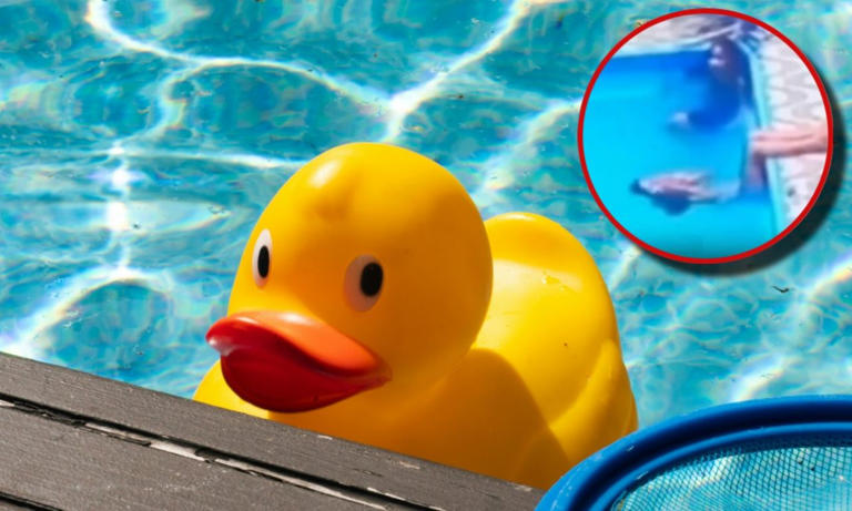 Muere niña al quedar atrapado su cabello en la alberca de la casa de ...