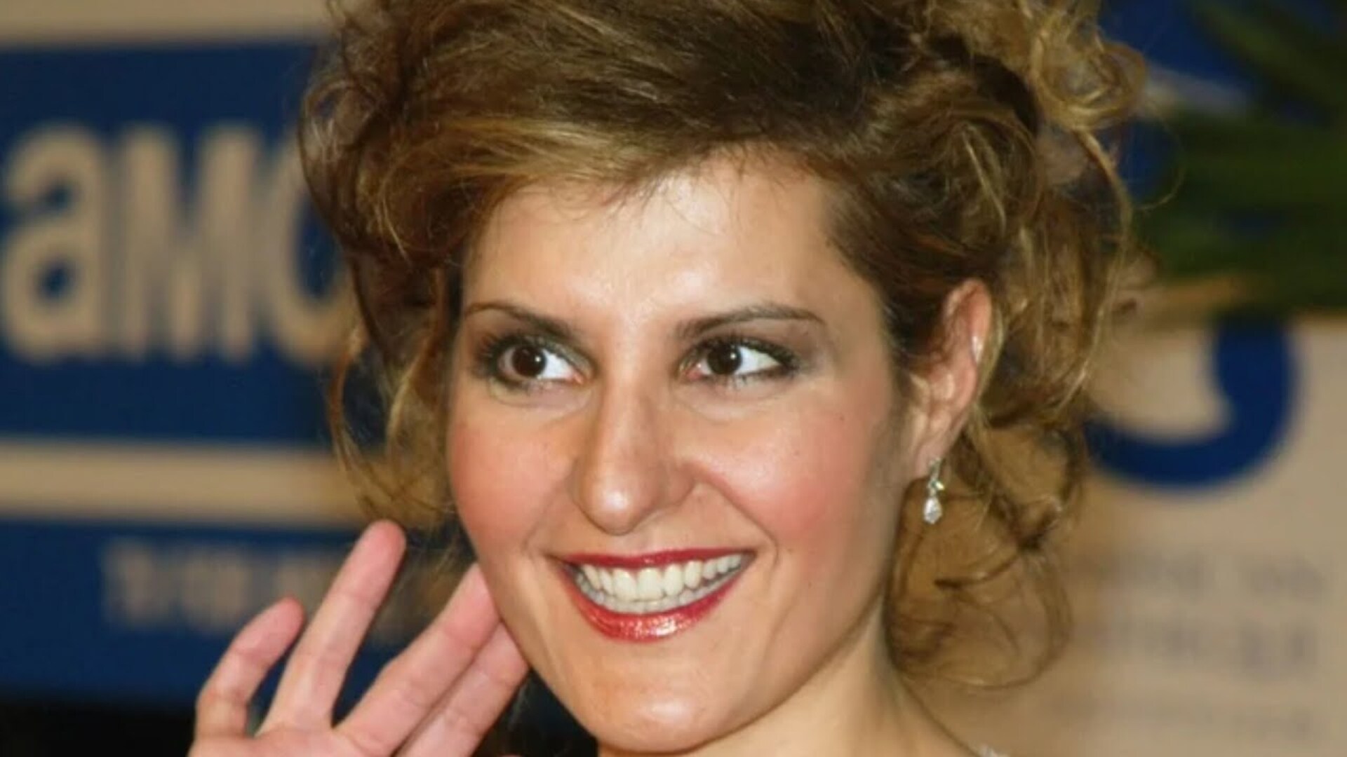 Why You Didn't See This My Big Fat Greek Wedding Actress For Awhile