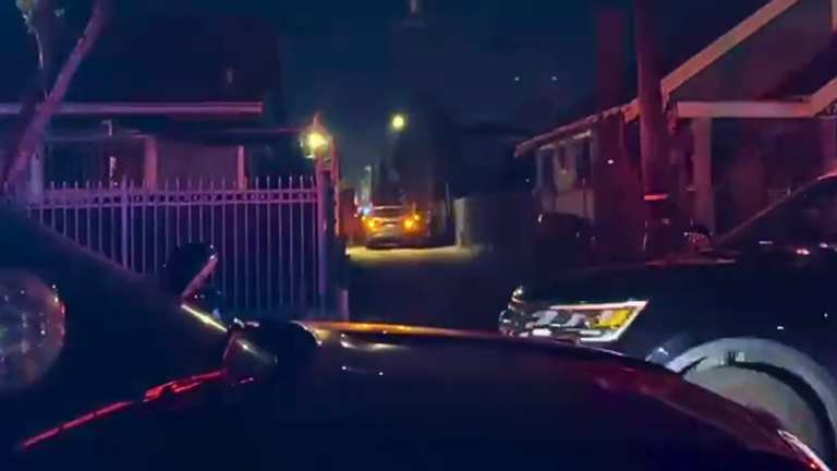 Gunfire in Los Angeles neighborhood leaves man, dog dead