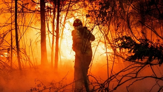Argentina wildfires: Firefighters battle flames as blaze rips through ...