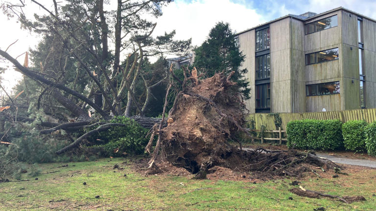 Golf club 'closed for foreseeable' after storm