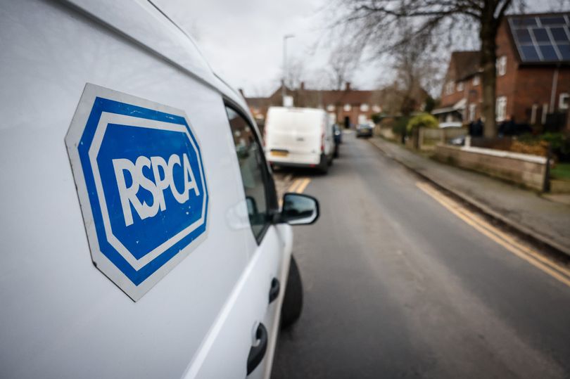 Police and RSPCA in joint raid at Coventry home for 'wildlife crimes'