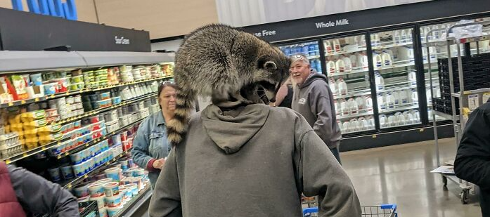 27 of the most chaotic things seen on “People of Walmart”