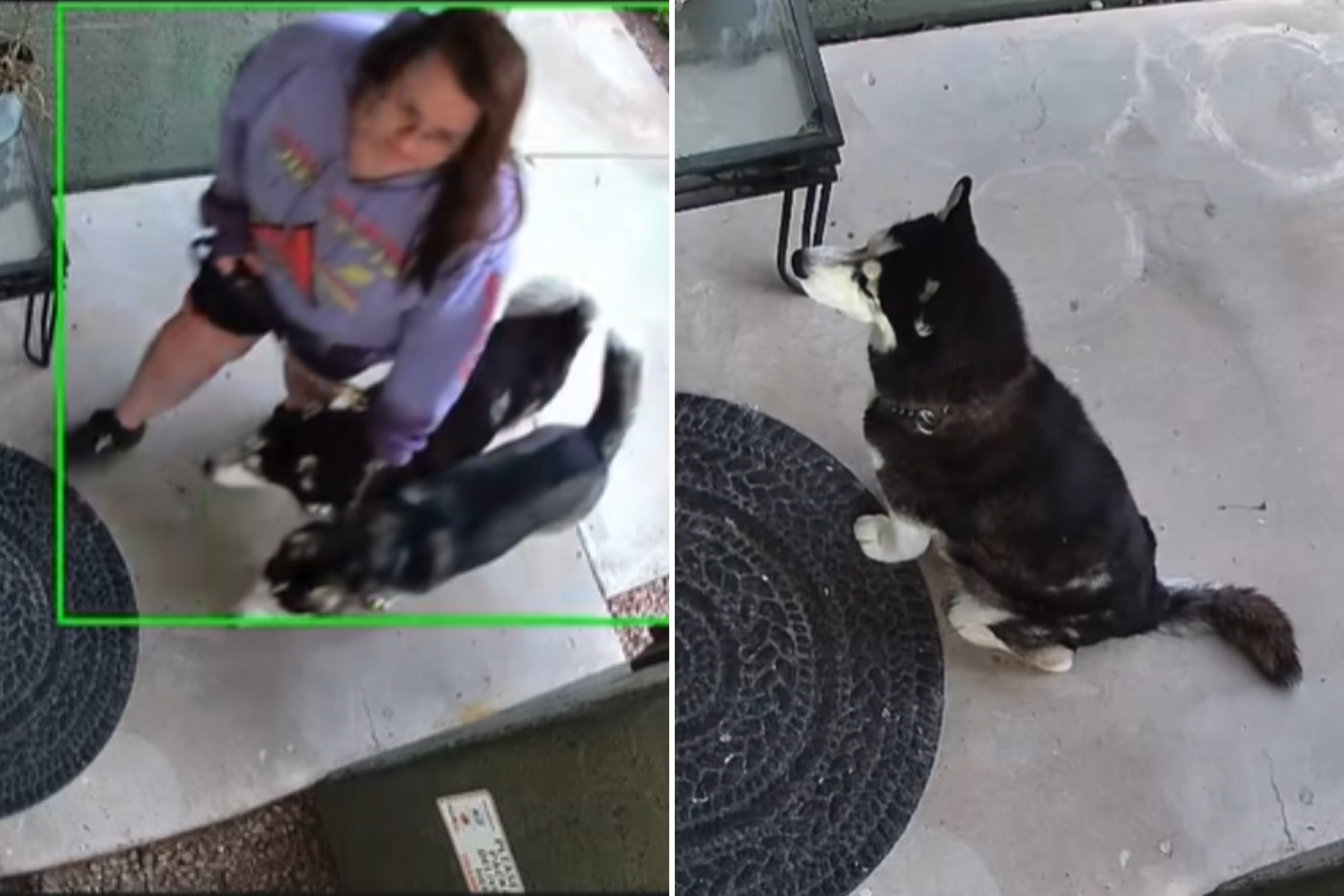 Husky left outside by accident—viewers can’t cope with sister’s reaction