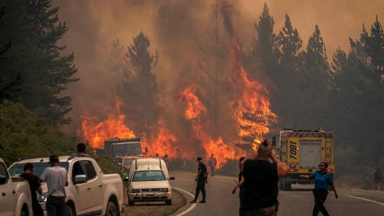 Argentina wildfires: Firefighters battle flames as blaze rips through ...