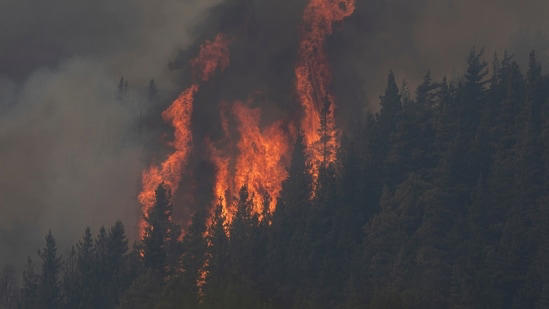 Argentina wildfires: Firefighters battle flames as blaze rips through ...