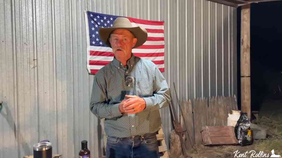 How oven baked wings became a game day staple