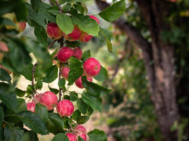 Elli Unruhe: „Fische im Trüben“ – Ein paar Scheiben vom Berg als Brot ...