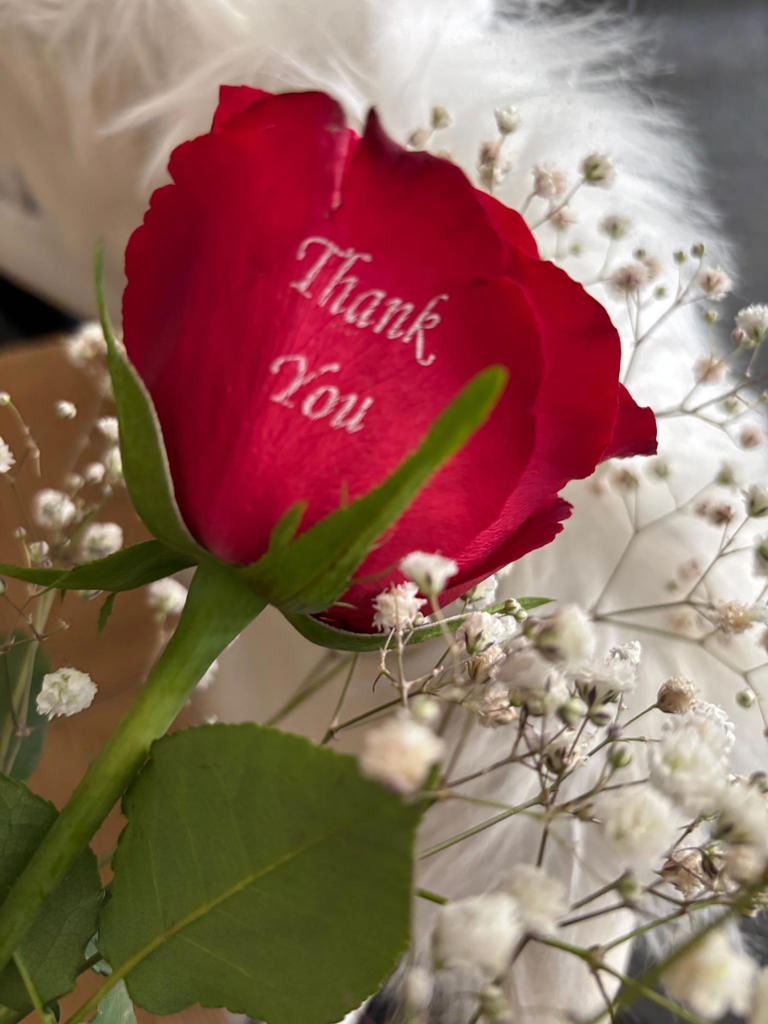 Reasons to be cheerful by Vicky Edwards: Thanks very much!