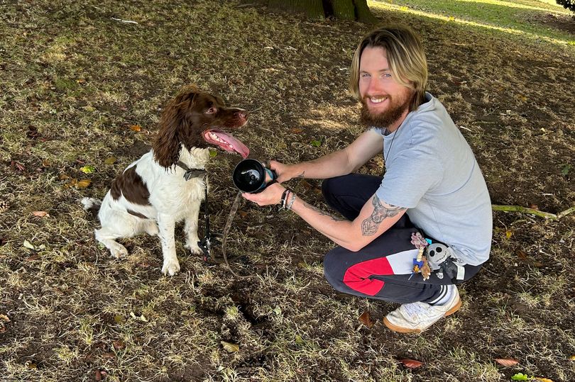 Dog with stick poking out of stomach rushed to Birmingham hospital and ...