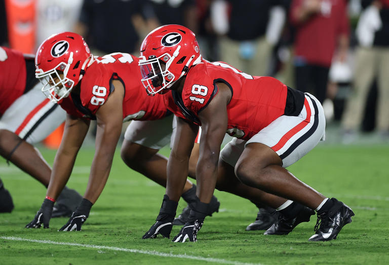 Another Georgia defender enters the transfer portal