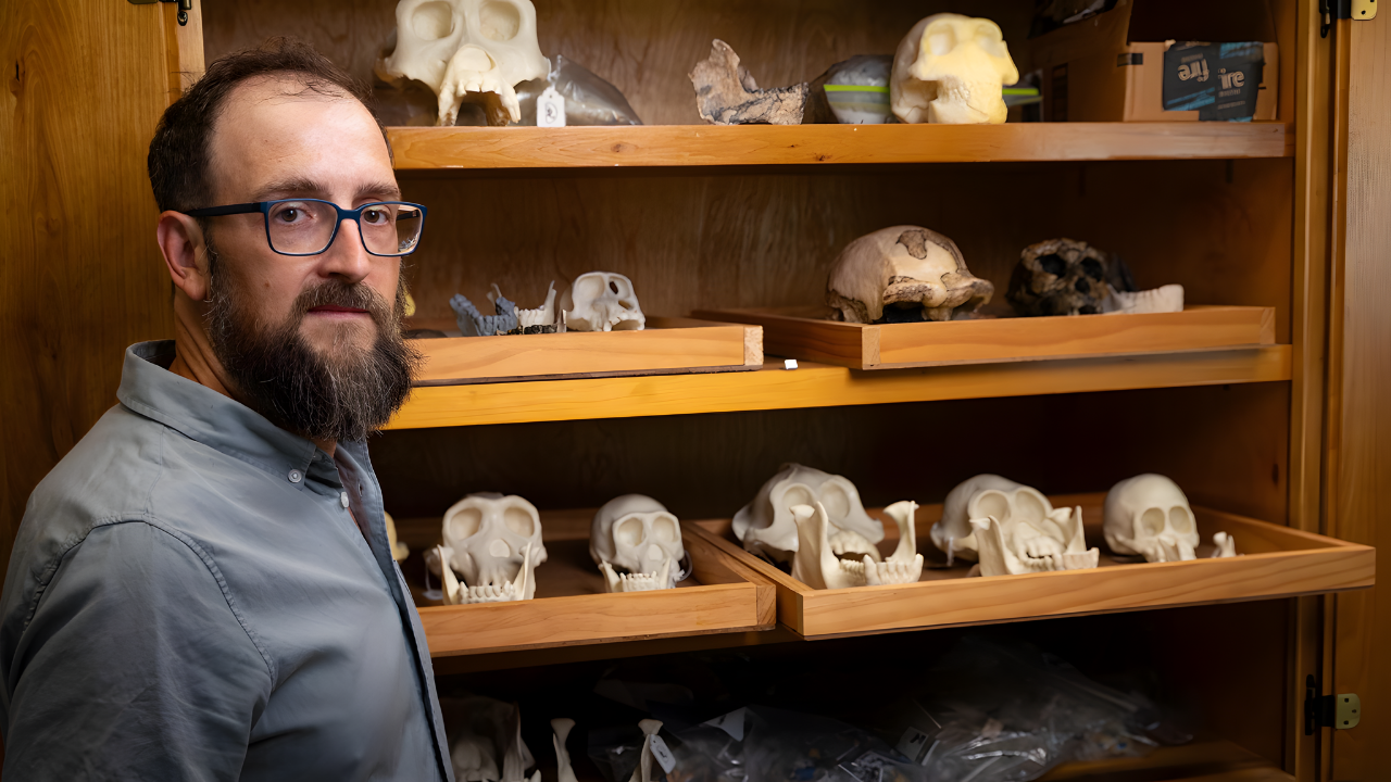 New fossil discovery shakes up 2.8 million-year human evolution timeline