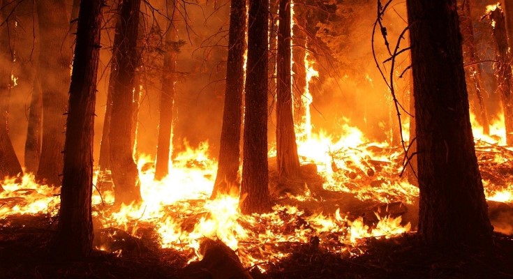 Wildfire cash rush: Trump sends $5M to arm small-town firefighters