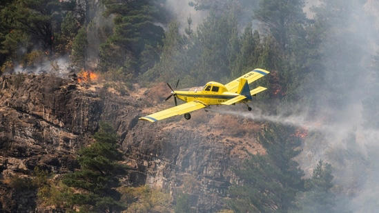 Argentina wildfires: Firefighters battle flames as blaze rips through ...