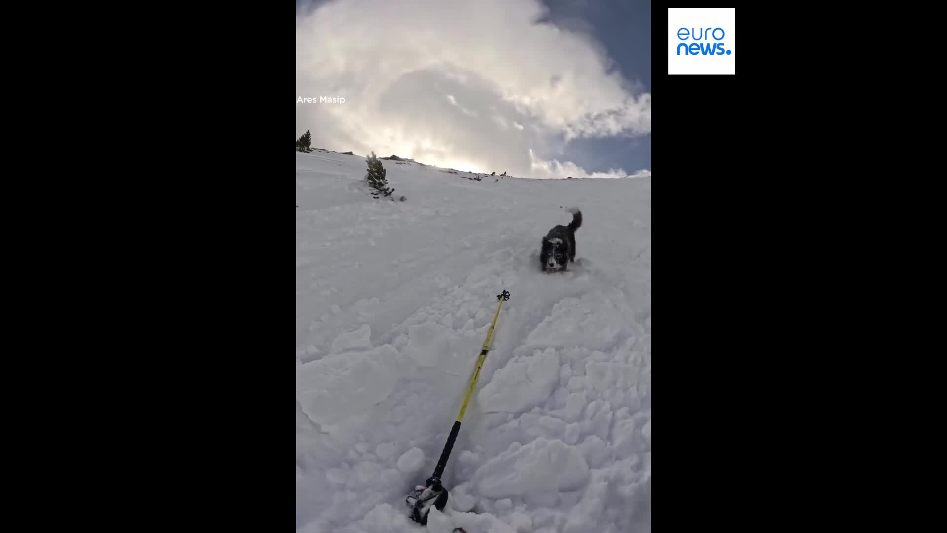 Watch: Moment skier and dog caught in avalanche