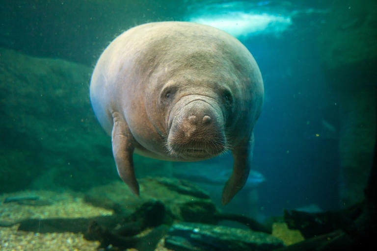 I’ve been lying to my son for 24 years — the deception has taken over ...