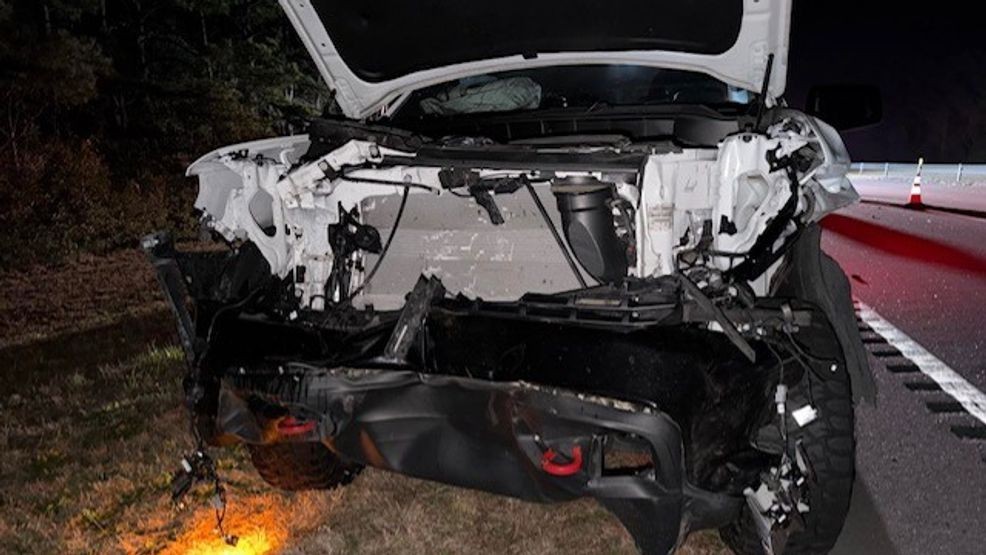 8 cows hit, killed after getting loose in Horry County: Report