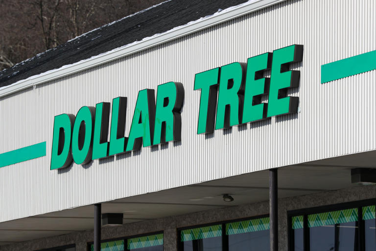 This Dollar Tree DIY uses hair curlers to display your jewelry