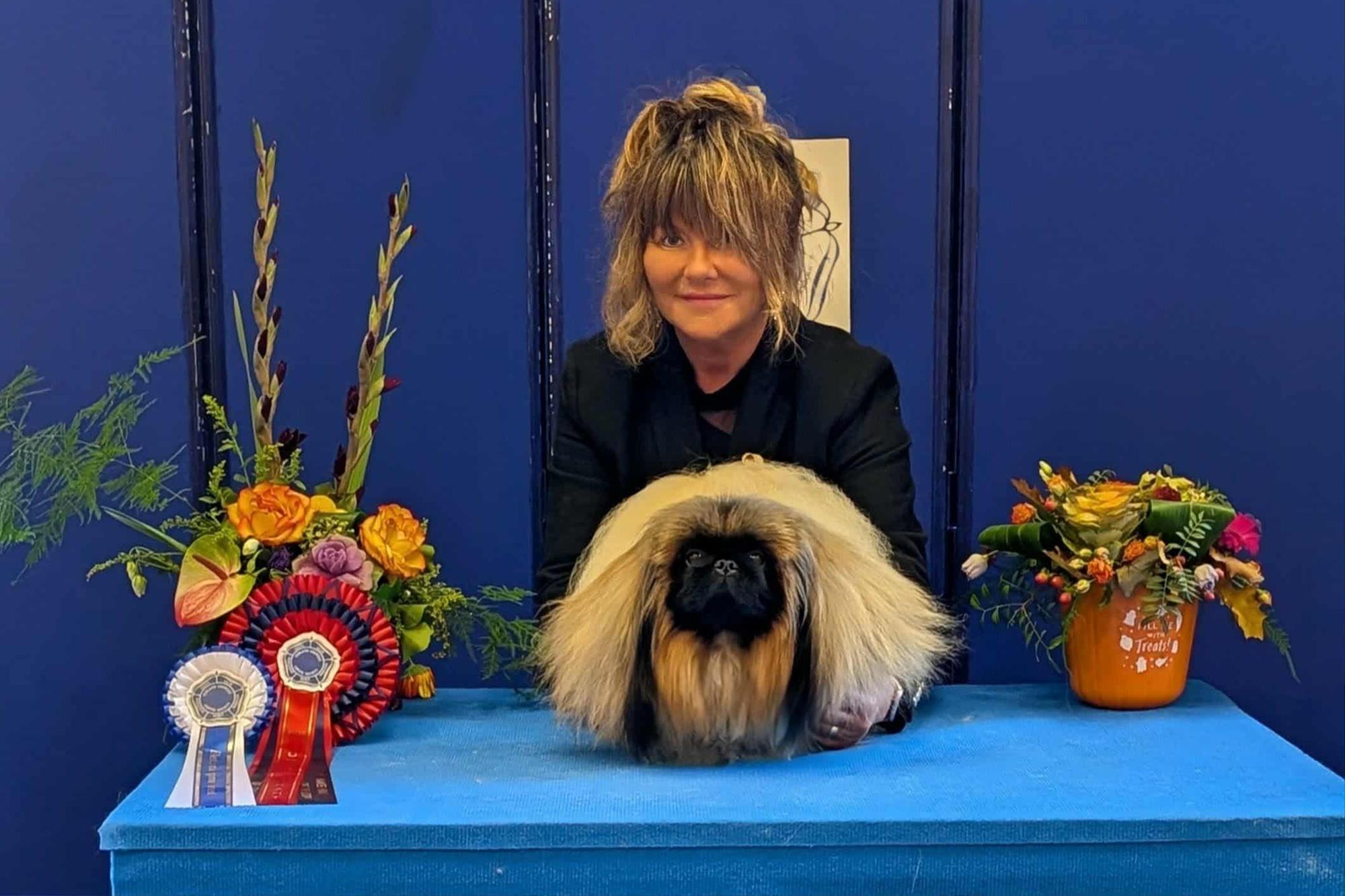 Dog shows have been 'life changing' for drama teacher finalist in top ...